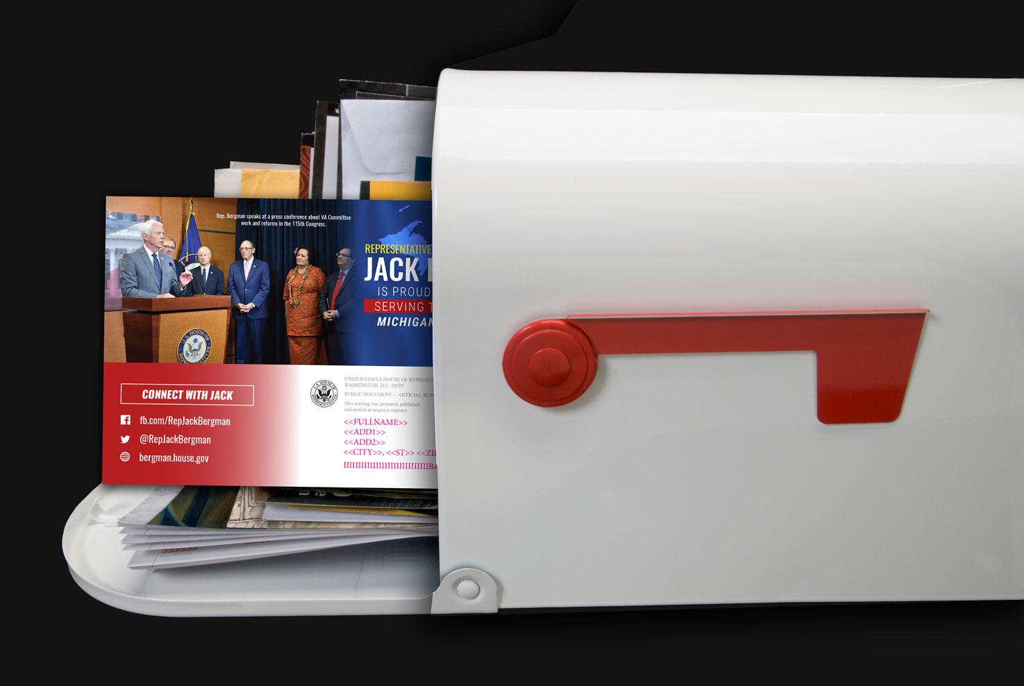 Why Leave Your Franked Mail to Chance? | TLC Political